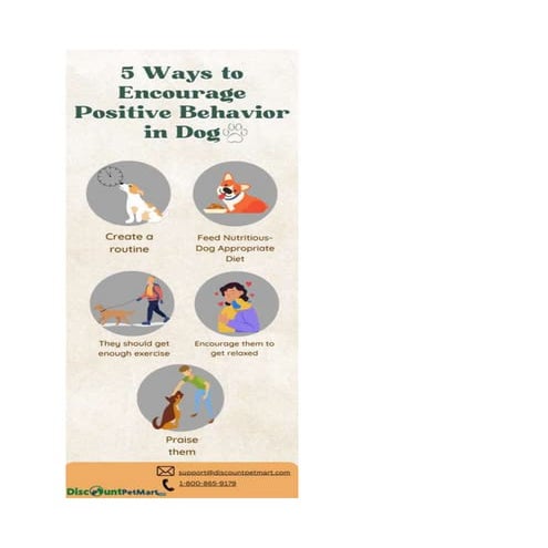 5 Ways to Encourage Positive Behavior in Dog | PDF