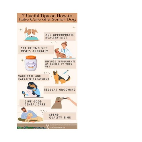 7 Useful Tips on How to Take Care of a Senior Dog | PDF