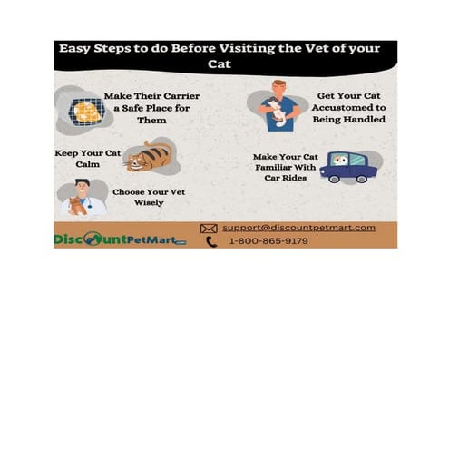 Visiting a Vet? Here’s How You Can Make it a Stress-free Experience for ...