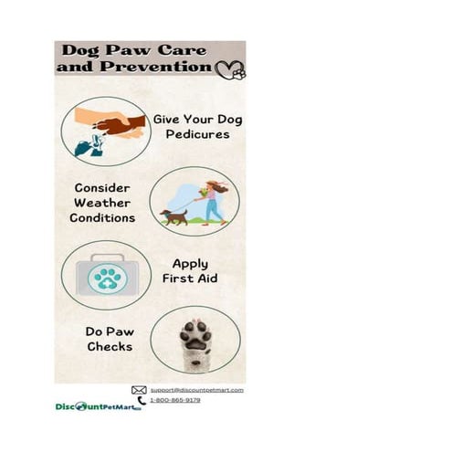 Must-Do Tips to Protect and Care for Your Dog’s Paw | PDF