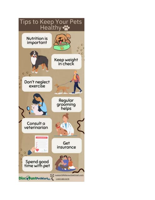 5 Fun Tricks To Teach Your Dog | DOCX