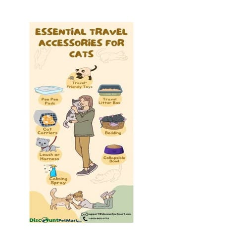 Essential Travel Accessories for Cats | DOCX | Cats | Pets