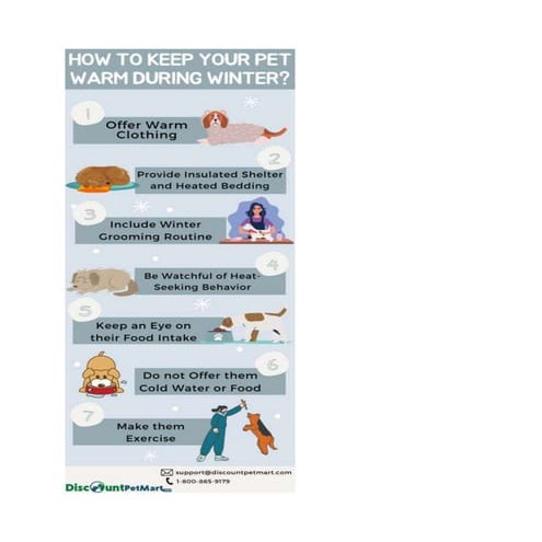 How to Keep Your Pet Warm During Winter? | DOCX