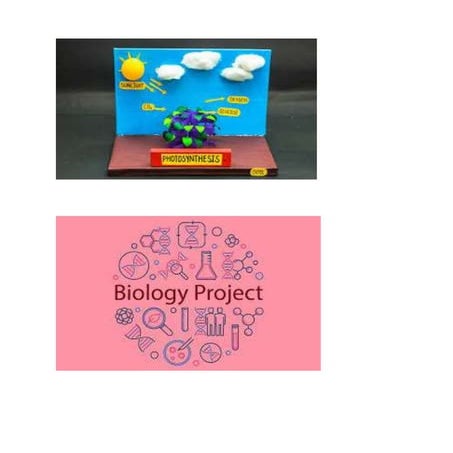 Biology Science Fair Projects | HST Learning Center | PDF
