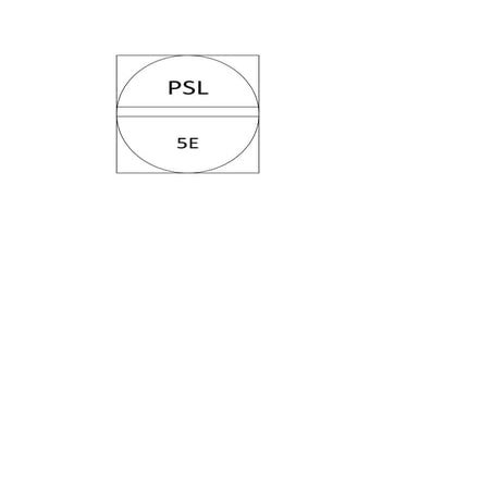 Psa assignment overview | DOCX