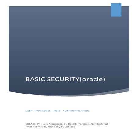 Studi Kasus Basic Security Oracle | PDF