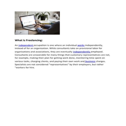 What Is Freelancing | PDF