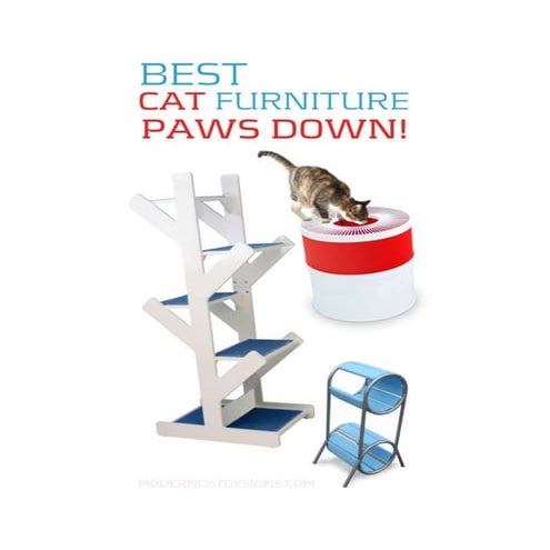 Best Cat Furniture Paws Down! | DOCX