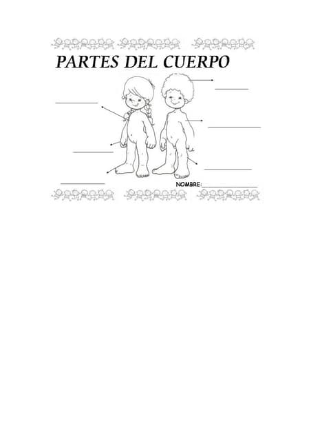 Cuáles pueden ser las cubiertas de los animales | DOC | Pets