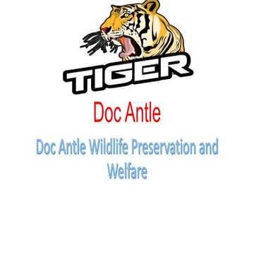 Doc antle $ T.I.G.E.R.S. | PPT