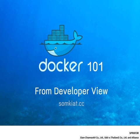 Docker 101 In Developer View Ppt