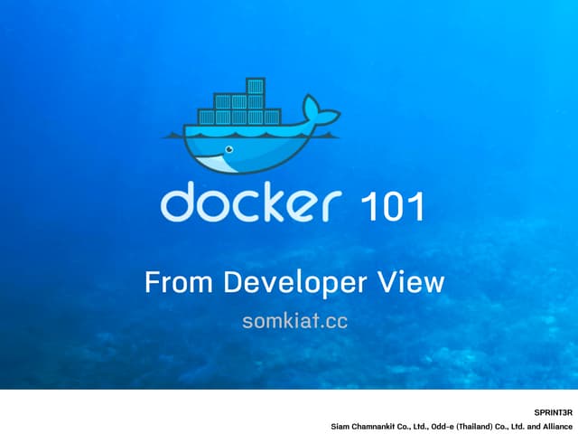 Docker 101 In Developer View Ppt