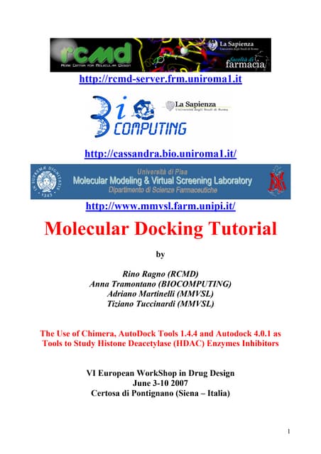 Autodock Made Easy with MGL Tools - Molecular Docking | PDF