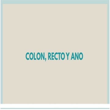 ANATOMIA Y FISIOLOGIA RECTO Y ANO.pptx,. | PPTX