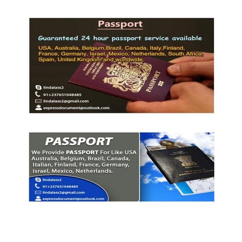 Document Expert | PDF