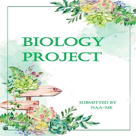 Modes of Seed Dispersal Project and Analysis | DOCX