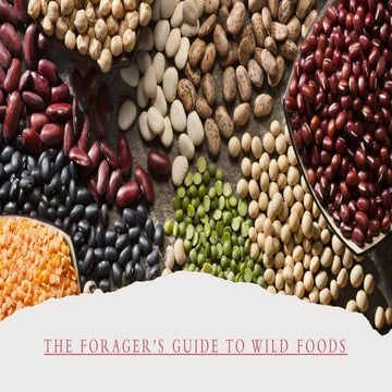 The Forager's Guide to Wild Foods | PPT