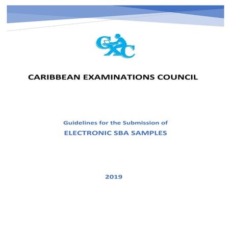 Documentation for e SBA application | PDF