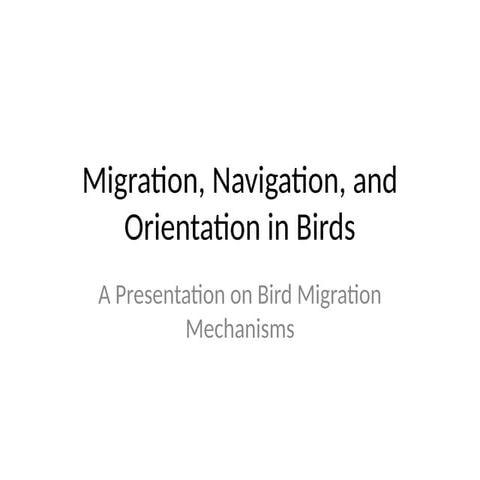 Migration, navigation, and Orientation in Birds.pptx