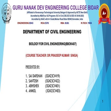 Document from Siddu.pdf transportation and download | PPT