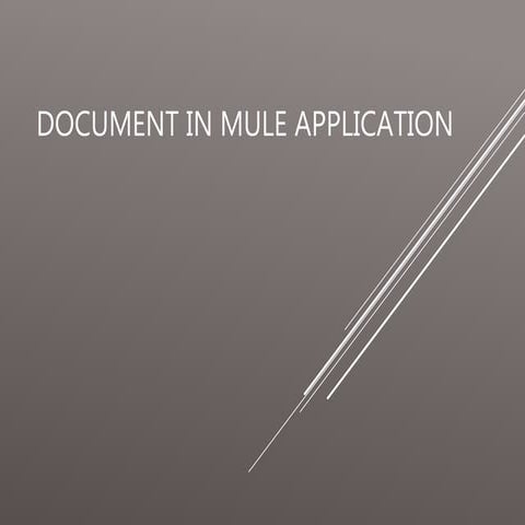 Document in mule application | PPT | Free Download