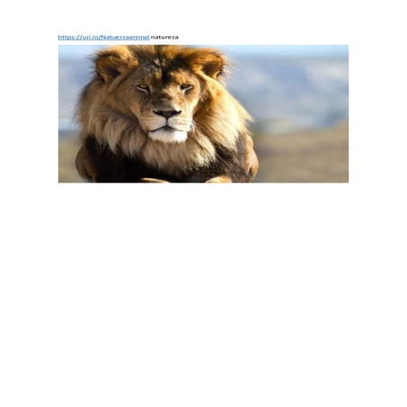 Natureza animal | DOCX