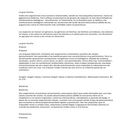 Documento (10).docx