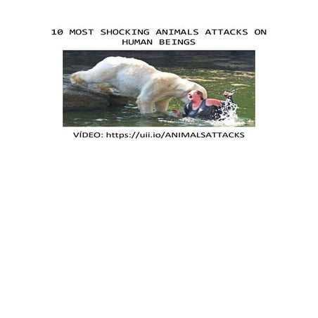 10 MOST SHOCKING ANIMALS ATTACKS ON HUMAN BEINGS | PDF