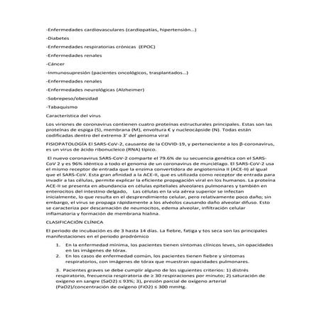 Documento (2).docx