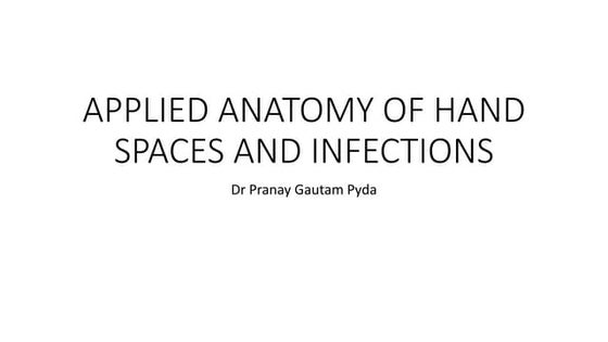 Anatomy of nasopharynx | PPTX
