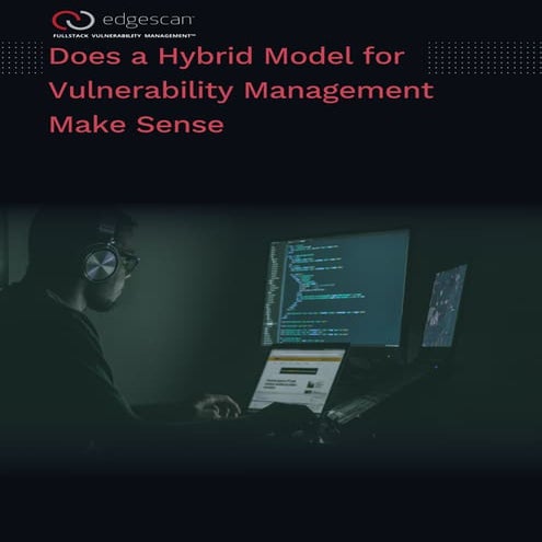 Does A Hybrid Model For Vulnerability Management Make Sense Pdf