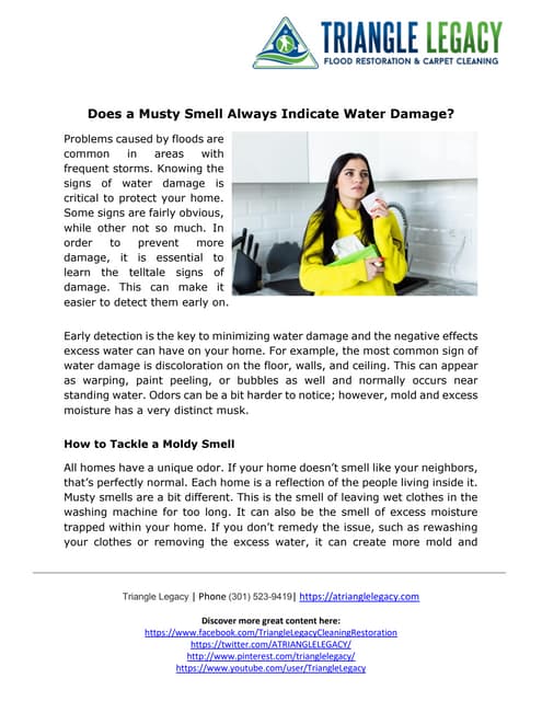 Signs of Water Damage and How To Identify Them.pdf