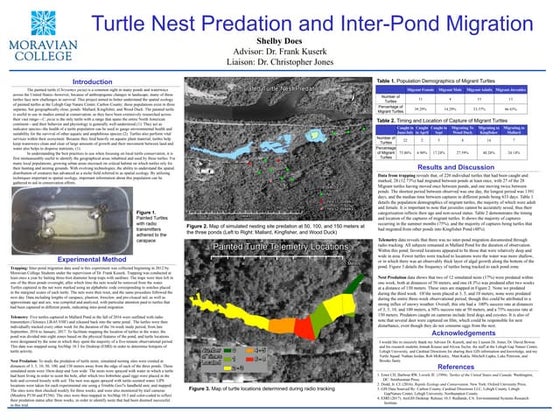 Poster Presentation | PPT