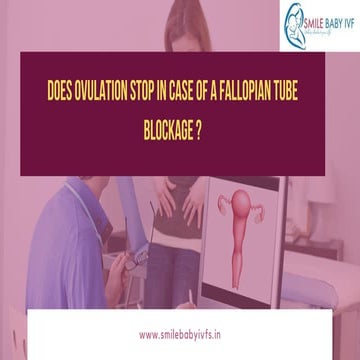 Does ovulation stop in case of a fallopian tube blockage | PDF