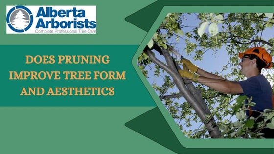 Understanding Arborist Services for Trees & Plants | PDF