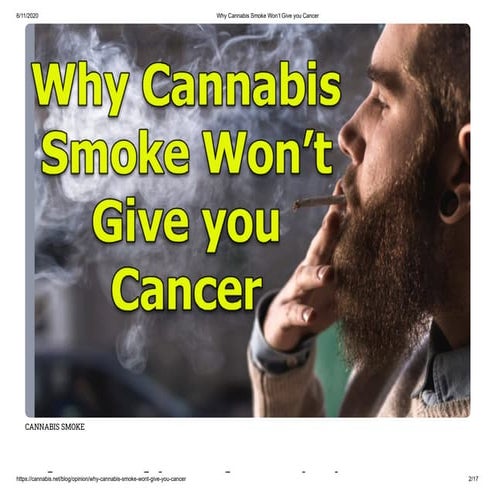 Does Smoking Weed Cause Lung Cancer? No, Here is Why... | PDF