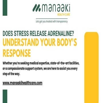 Does Stress Release Adrenaline Understand Your Body's Response | PPT