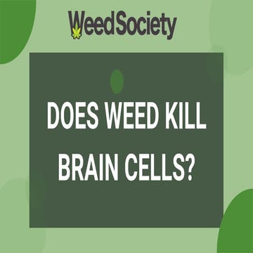 Does Weed Kill Brain Cells? | PPT