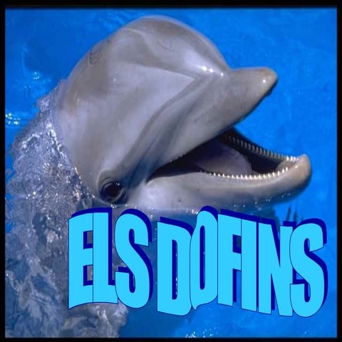 Els dofins (Encara més complet) | PPT