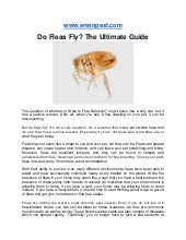 Client Handout - Fleas | DOCX