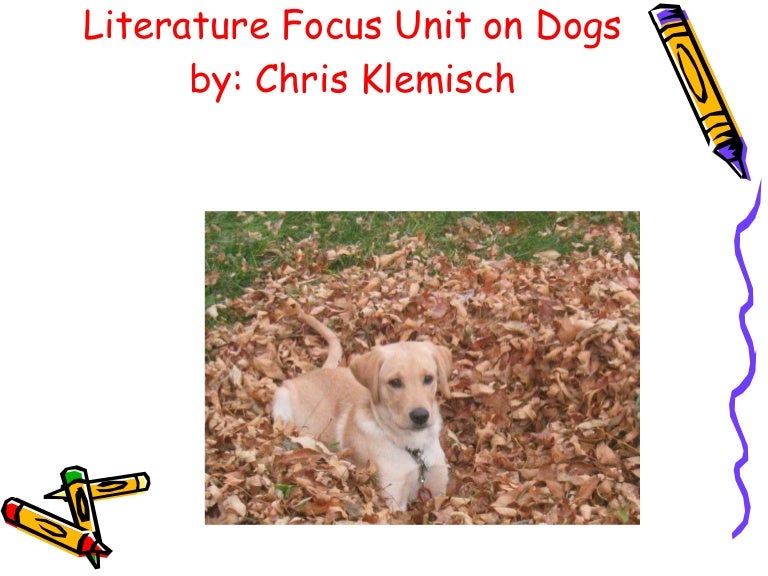 Dog Lesson plan dog-lesson-plan