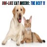 Dog-Like Cat Breeds - The Best 11.pdf