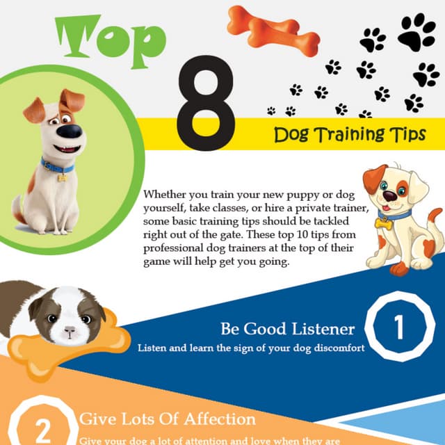 Top 8 Tips To Train Your Dog [INFOGRAPHIC] | PDF