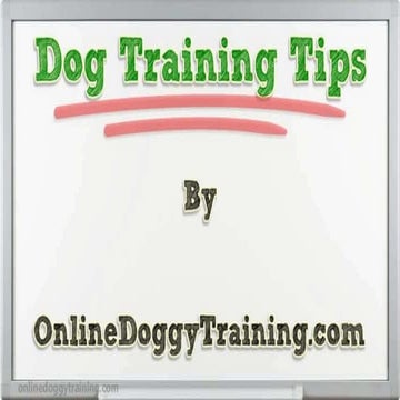 Step By Step Dog Training Tips | PPTX