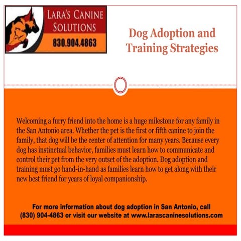 Dog adoption and training strategies | PPT