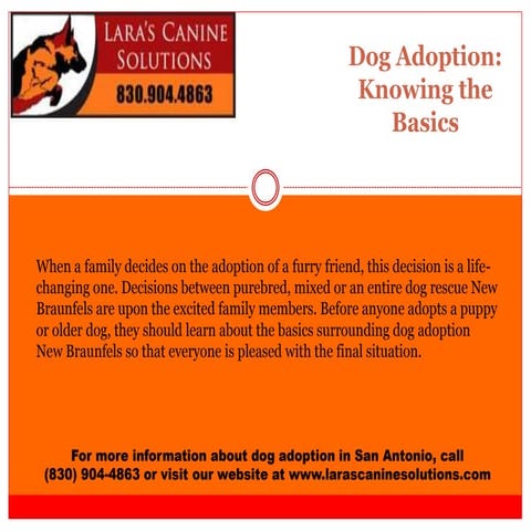 Why responsible dog breeding is so important | PPTX