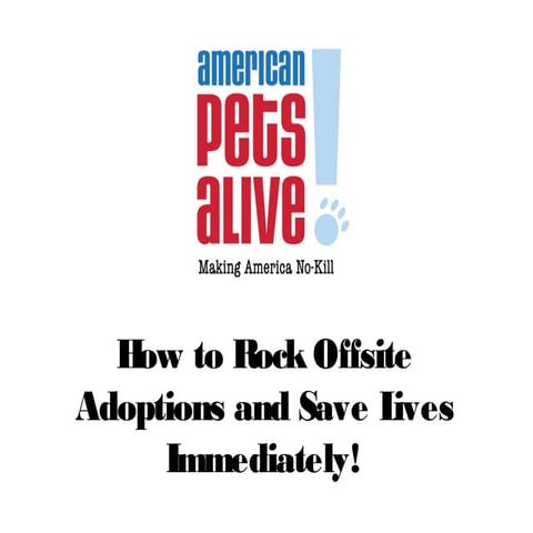 Welcoming a New Pet (1).pdf