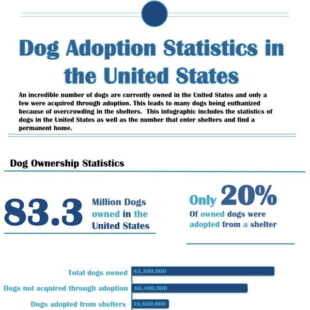 Dog adoption statistics in the united states | PDF