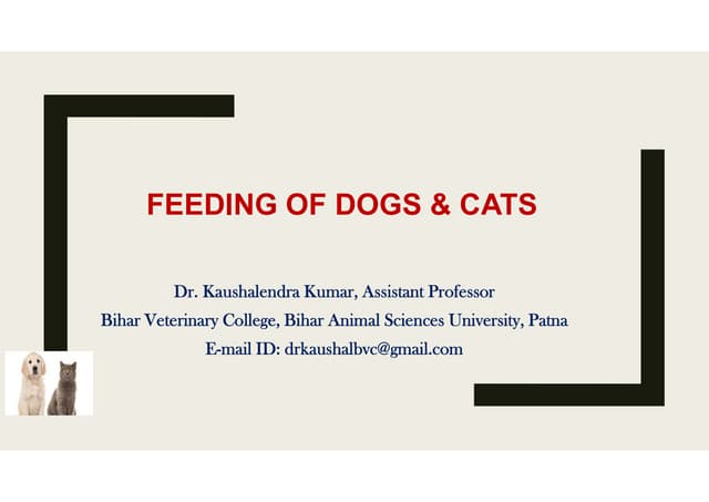 Cat & dog nutrition | PPTX