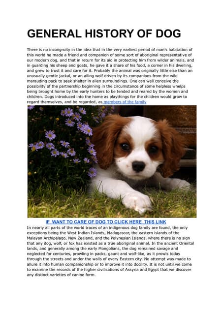 Habitat of the dog family | PPT